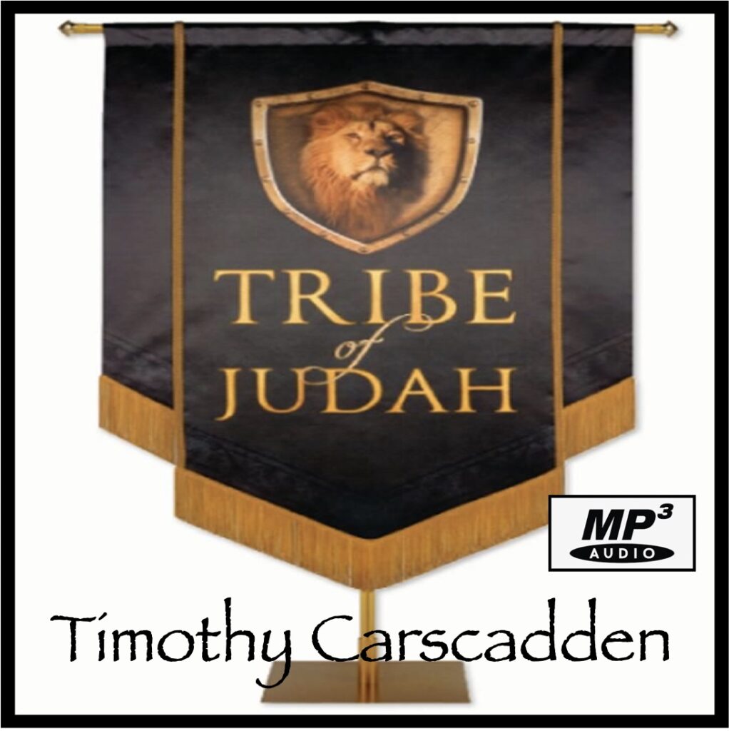 Tribe Of Judah - House of Ariel Gate
